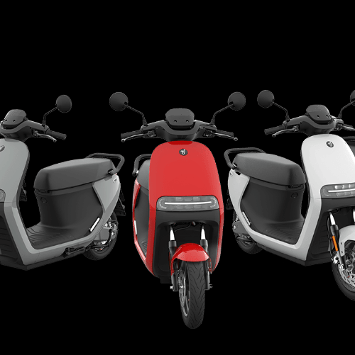 E_Scooter_Gent | Segway E110S